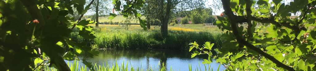 River Waveney Trust - Improving the river for wildlife & people