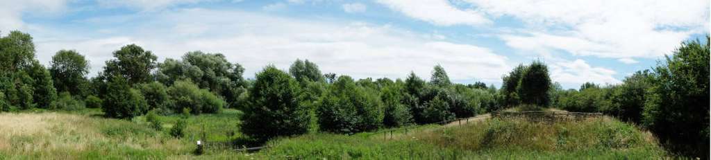 Frenze Beck - Nature Reserve in Diss, South Norfolk
