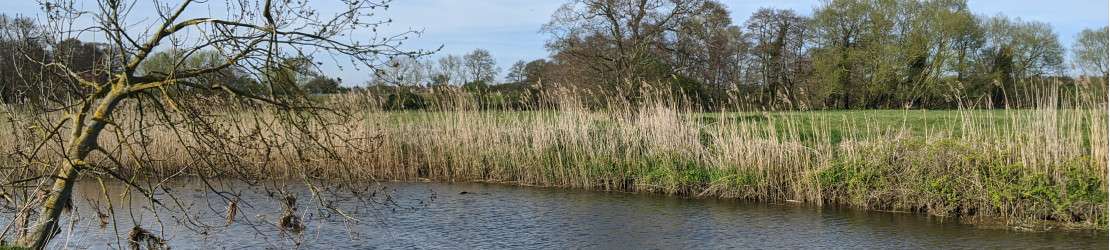 Conservation & Restoration of the River Waveney