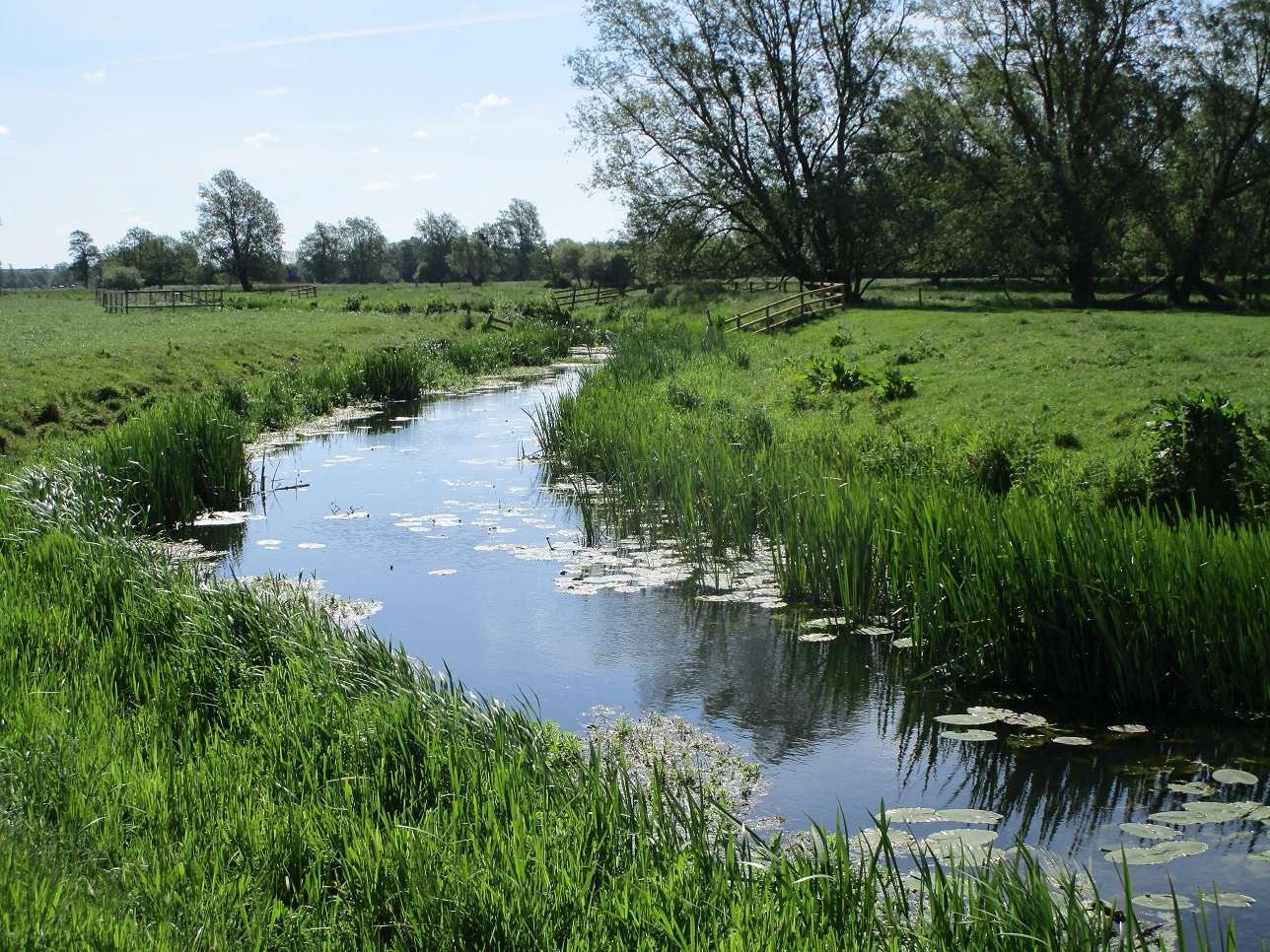 Septic Tank Awareness - River Waveney Trust