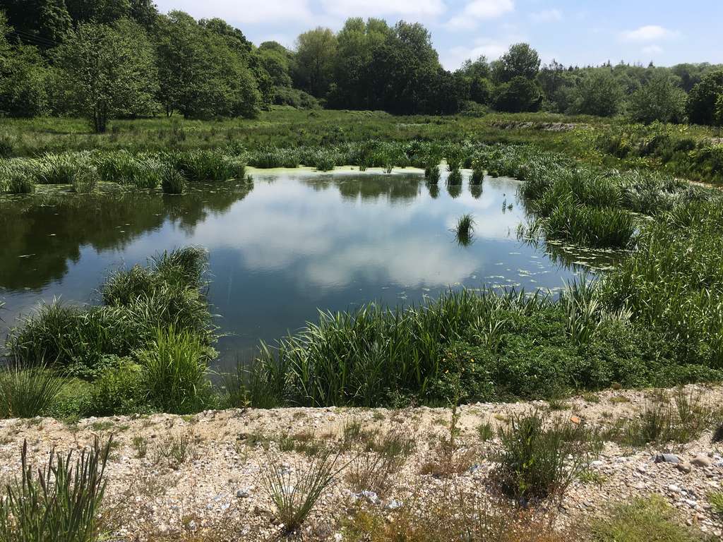 Farm Advice - River Waveney Trust
