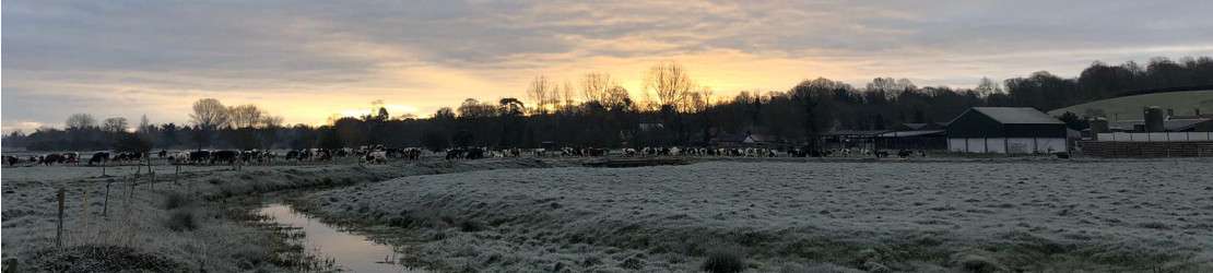 River Waveney Trust - Our Work