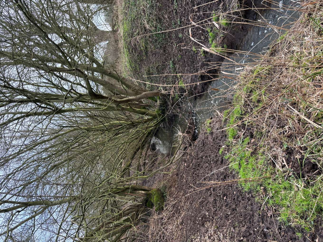 River Restoration - River Waveney Trust